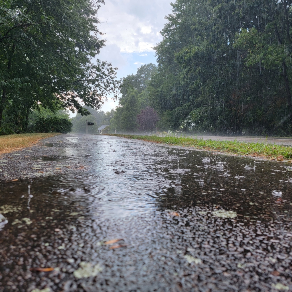 Emily Scerbo: A Northeast Stormwater Leader Northeast consulting ...