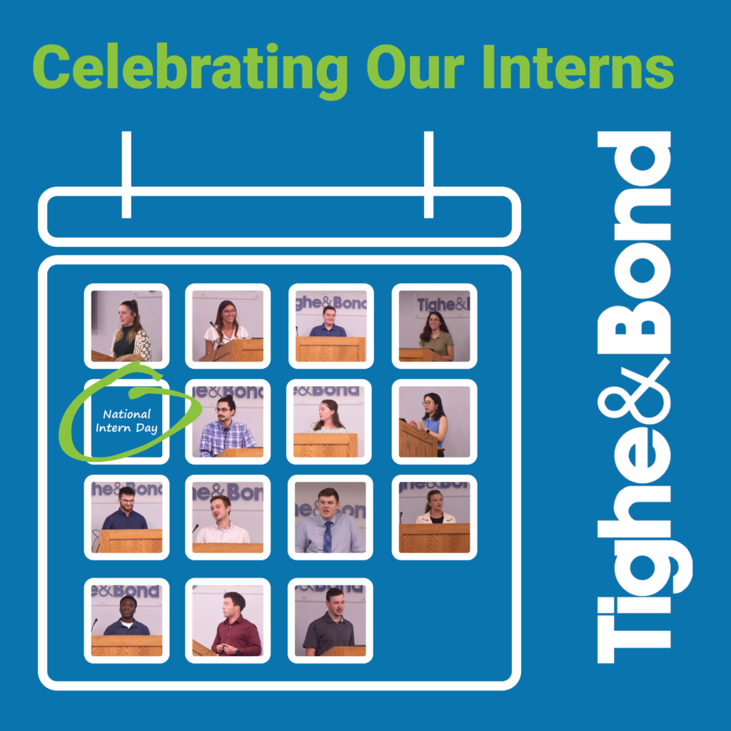 National Intern Day: Celebrating the Next Generation of STEM Professionals